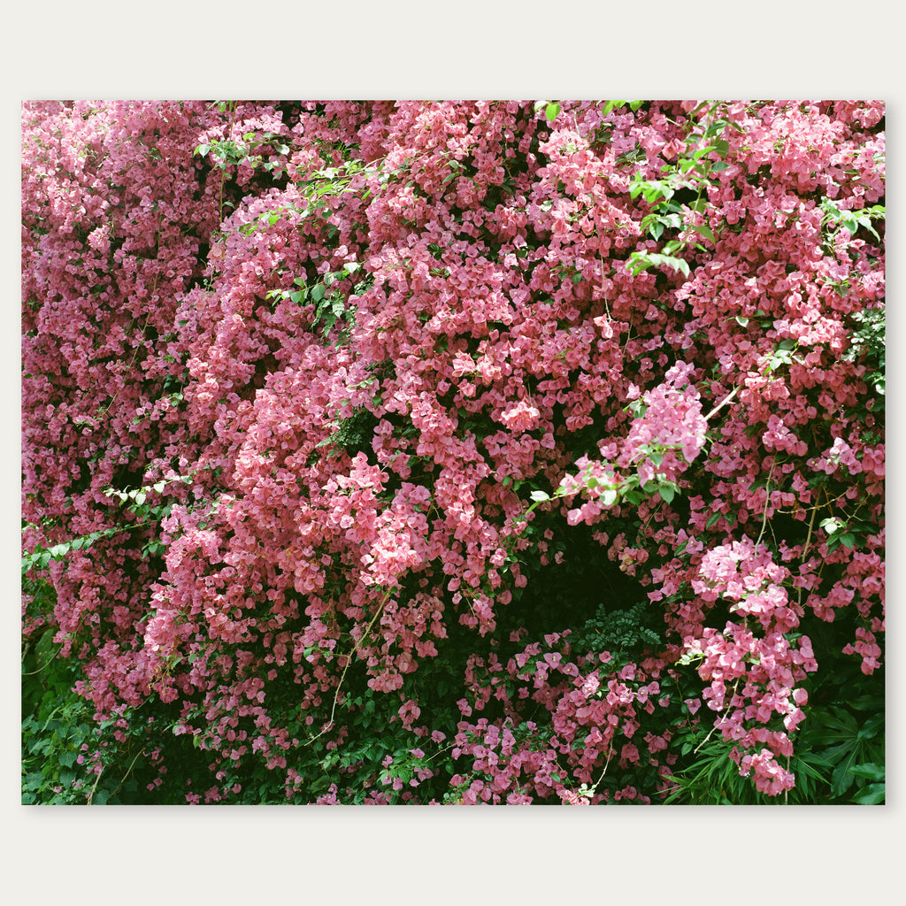 Jessica Grilli – Great Frames