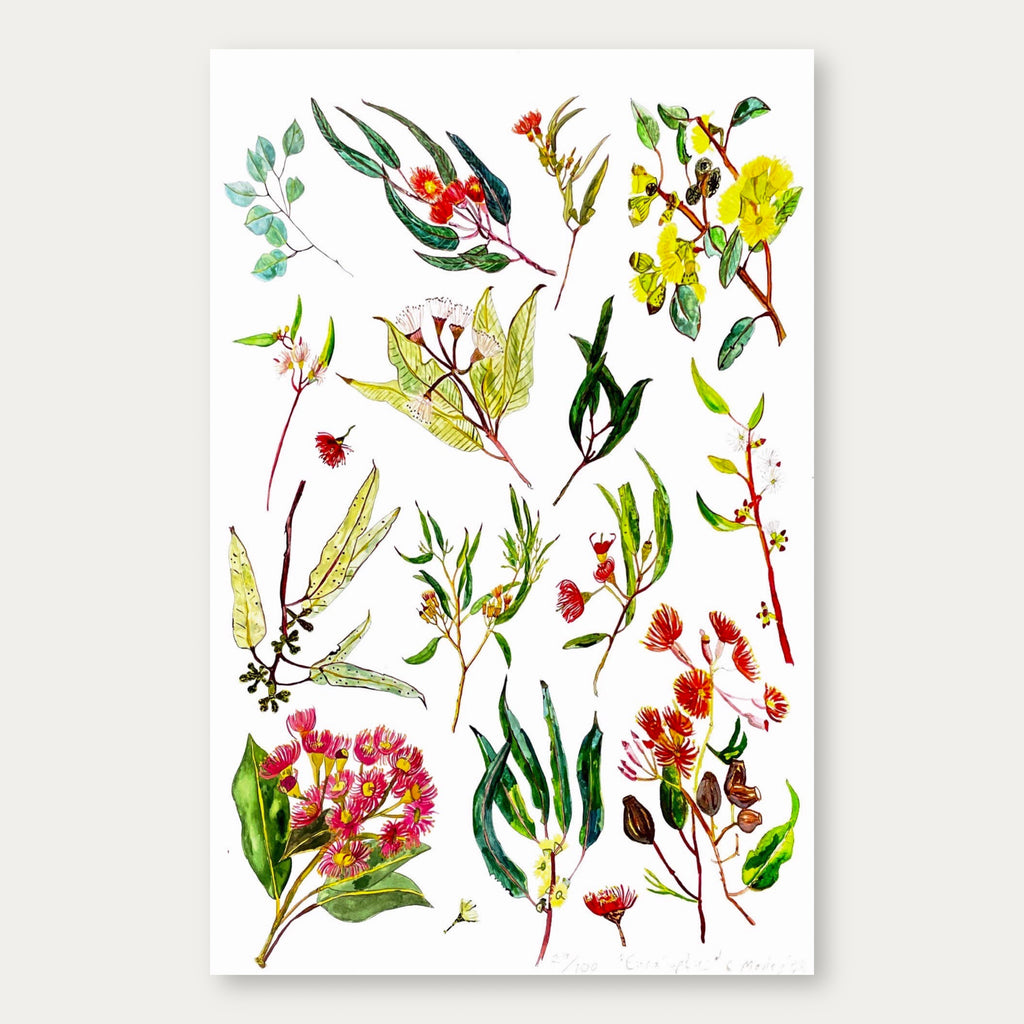 Claire Mosley – Great Frames