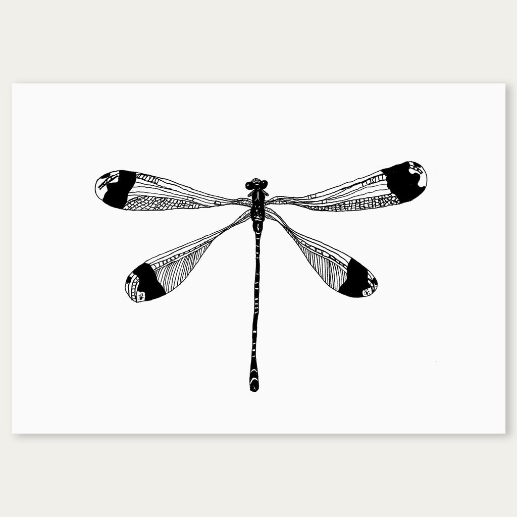 Dragonfly. – Great Frames