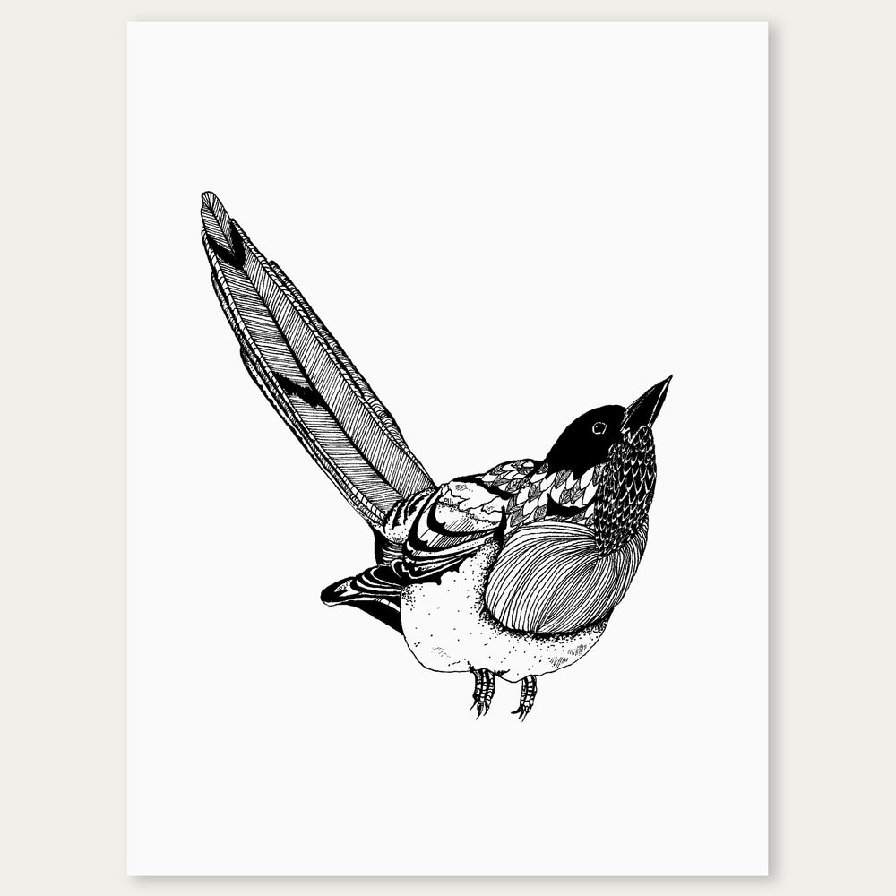 Magpie. – Great Frames