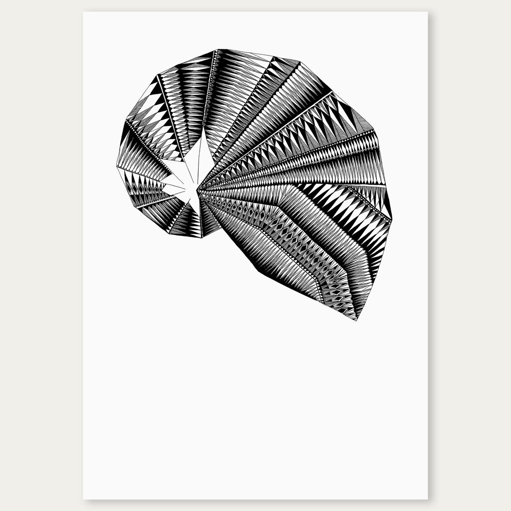 Shell. – Great Frames