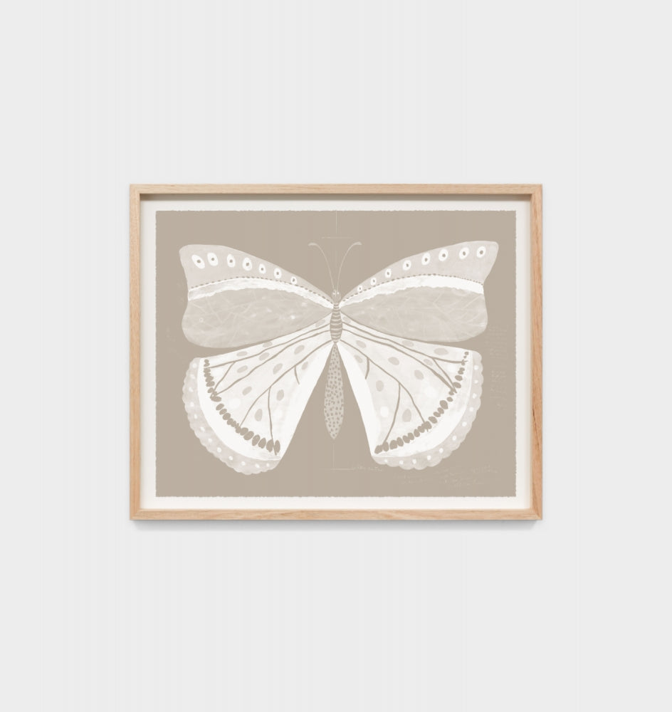 Papillon Neutral 1 – Great Frames